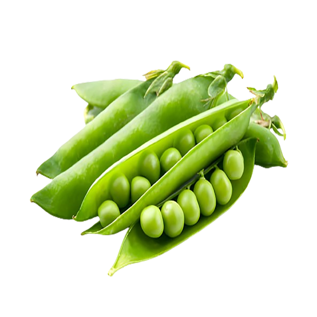 Motor-Shuti – 1 kg – Uttara Kacha Bazar